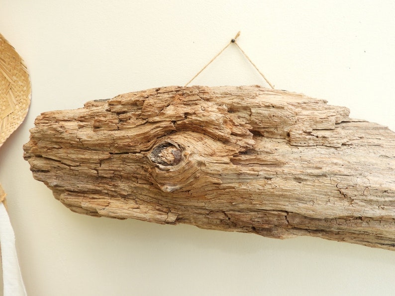 Sculpture naturelle poisson en bois flotté Déco bois flotté | Etsy