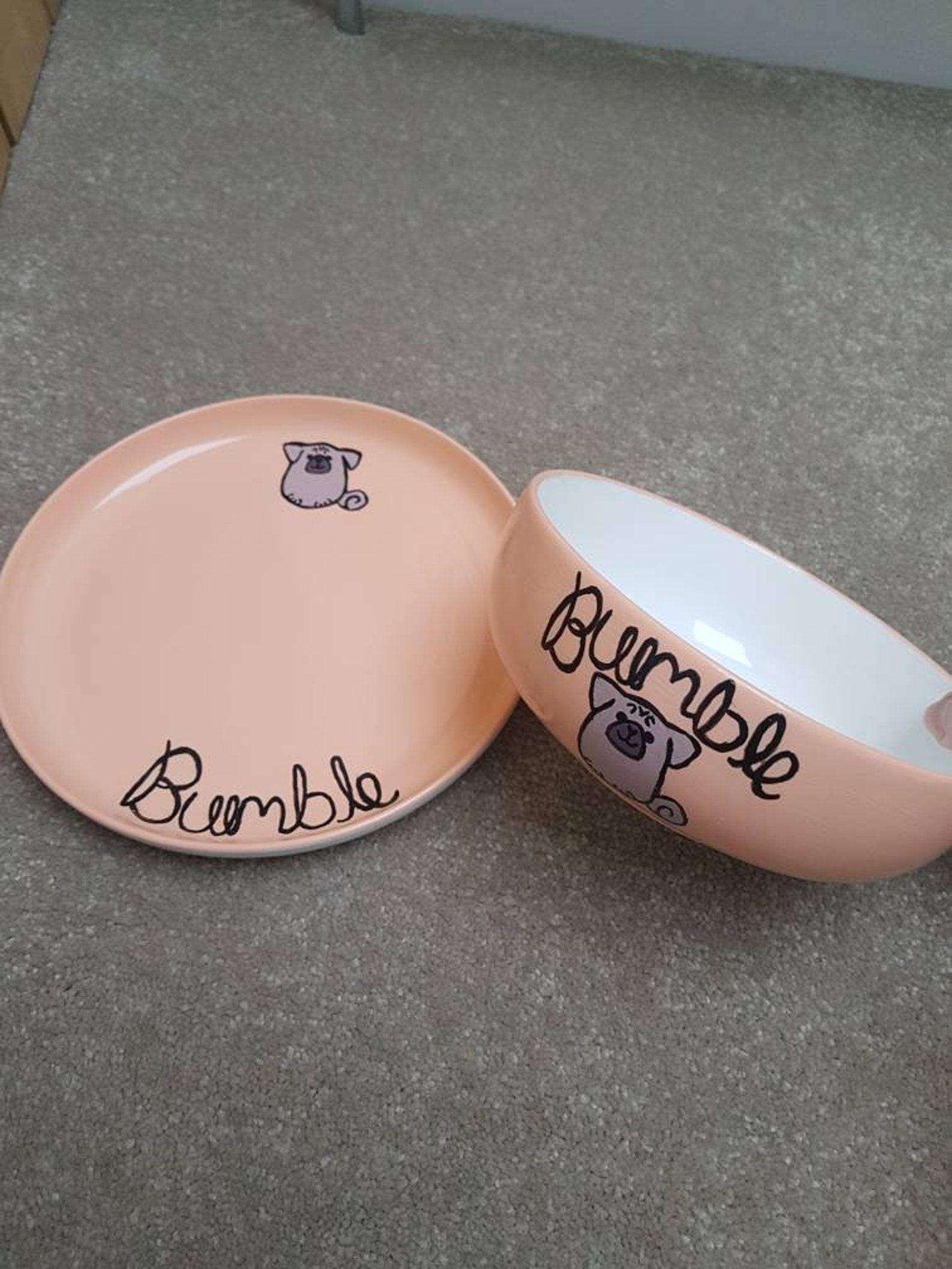 Custom Cat Dog Food Dish Plate Bowl Water Hand Painted Personalised ...