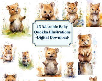 Quokka Poster Baby Quokka Photography Animal Lover Gift - Etsy