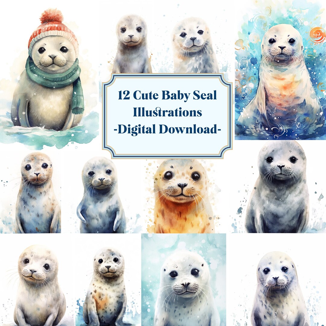 Bundle of Delight: 12 Charming Watercolor Baby Seal Illustrations ...