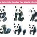 Personalised Panda Family Tree Print, Custom Family Illustration Print ...