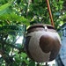 Calabash Bag/purse - Etsy