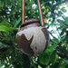 Calabash Bag/purse - Etsy