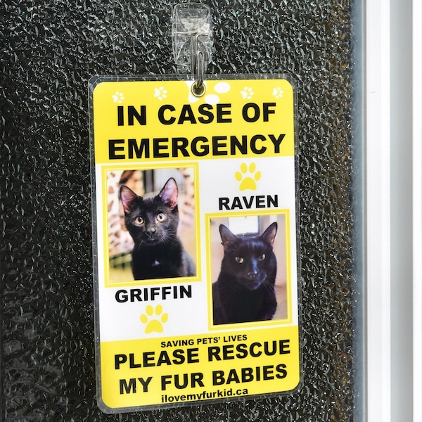 Pet Inside Sticker - Etsy