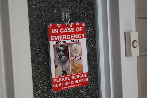 Please Rescue/signs for Pets/emergency Pet Sign/save Our - Etsy