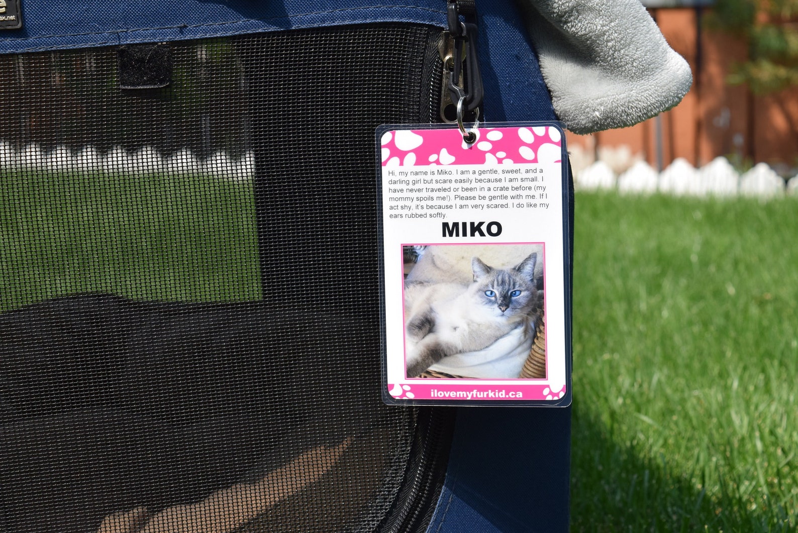 Cat Carrier/dog Carrier/kennel Travel Tag/kennel Tag/crate | Etsy