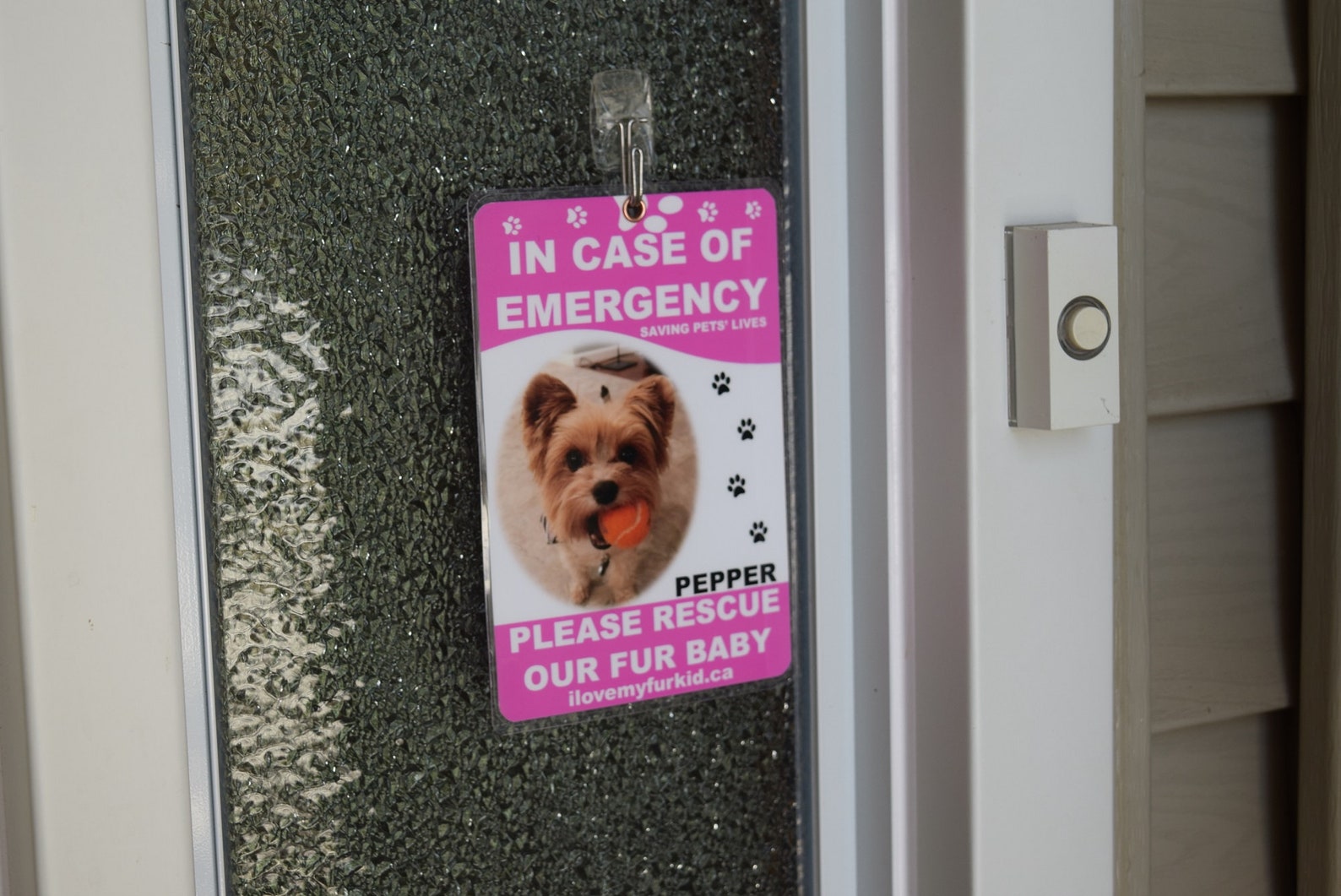 Personalised Pet Tag/Rescue Sign/Fur Kid/Fur Baby/Animal | Etsy