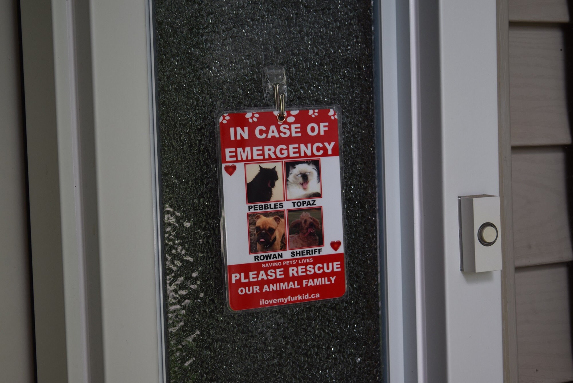 Rescue Our Animal Family/personalised Sign/emergency Pet - Etsy Canada