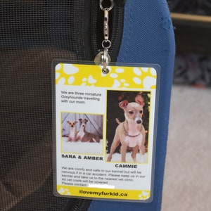 Cat Carrier/dog Carrier/kennel Travel Tag/kennel Tag/crate Tag/travel ...