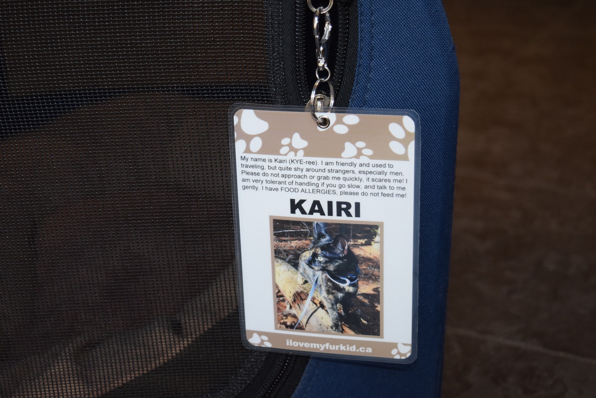 Cat Carrier/dog Carrier/kennel Travel Tag/kennel Tag/crate | Etsy