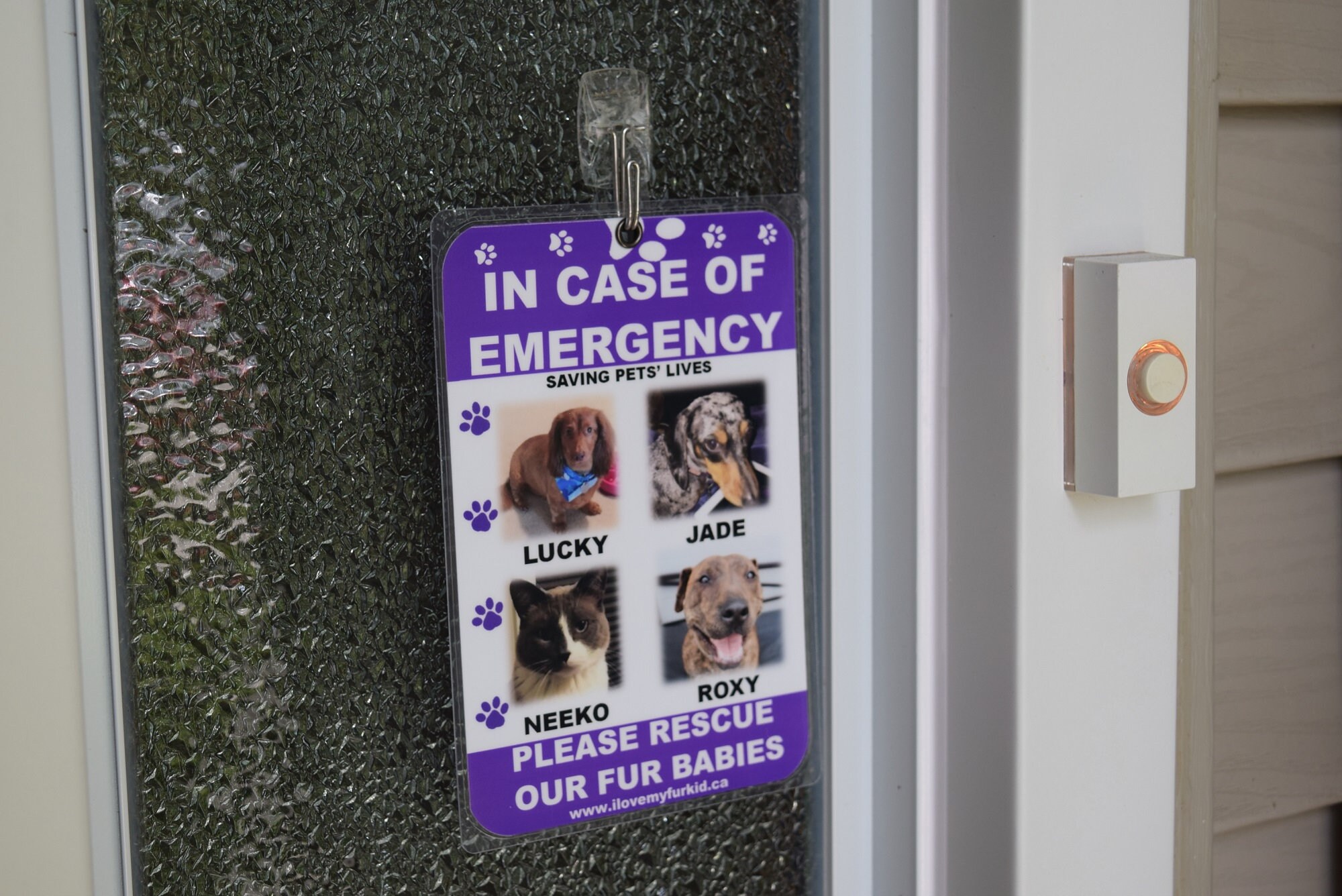 Rescue Our Animal Family/personalised Sign/emergency Pet - Etsy Canada