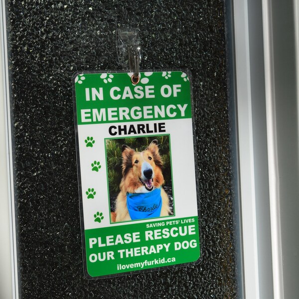 Pet Rescue Sign - Etsy