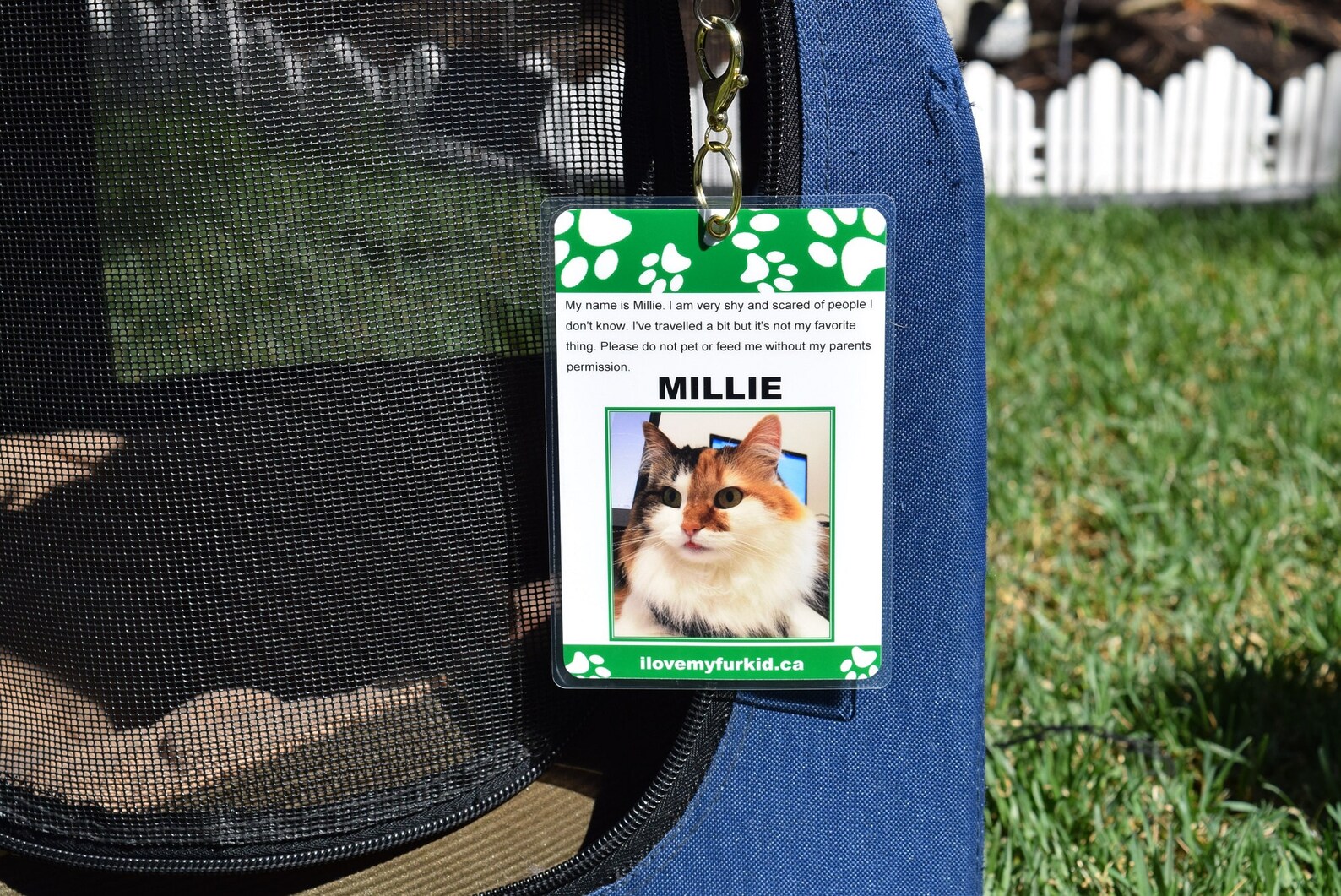 Cat Carrier/dog Carrier/kennel Travel Tag/kennel Tag/crate | Etsy