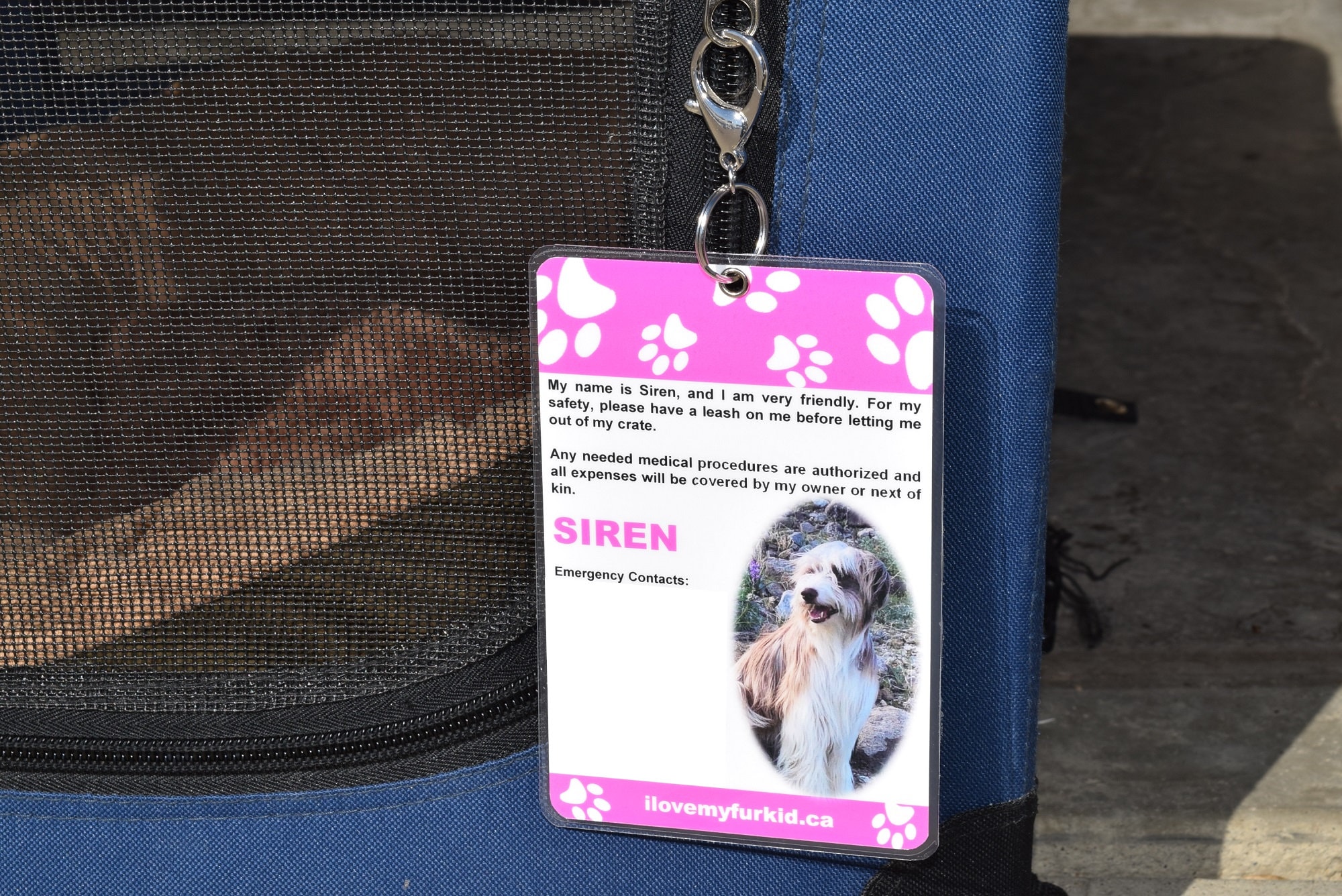 Kennel Tag Kennel Sign Travel Kennel Tag Pet ID Tag Crate Etsy kennel-tag-kennel-sign-travel-kennel-tag-pet-id-tag-crate-etsy