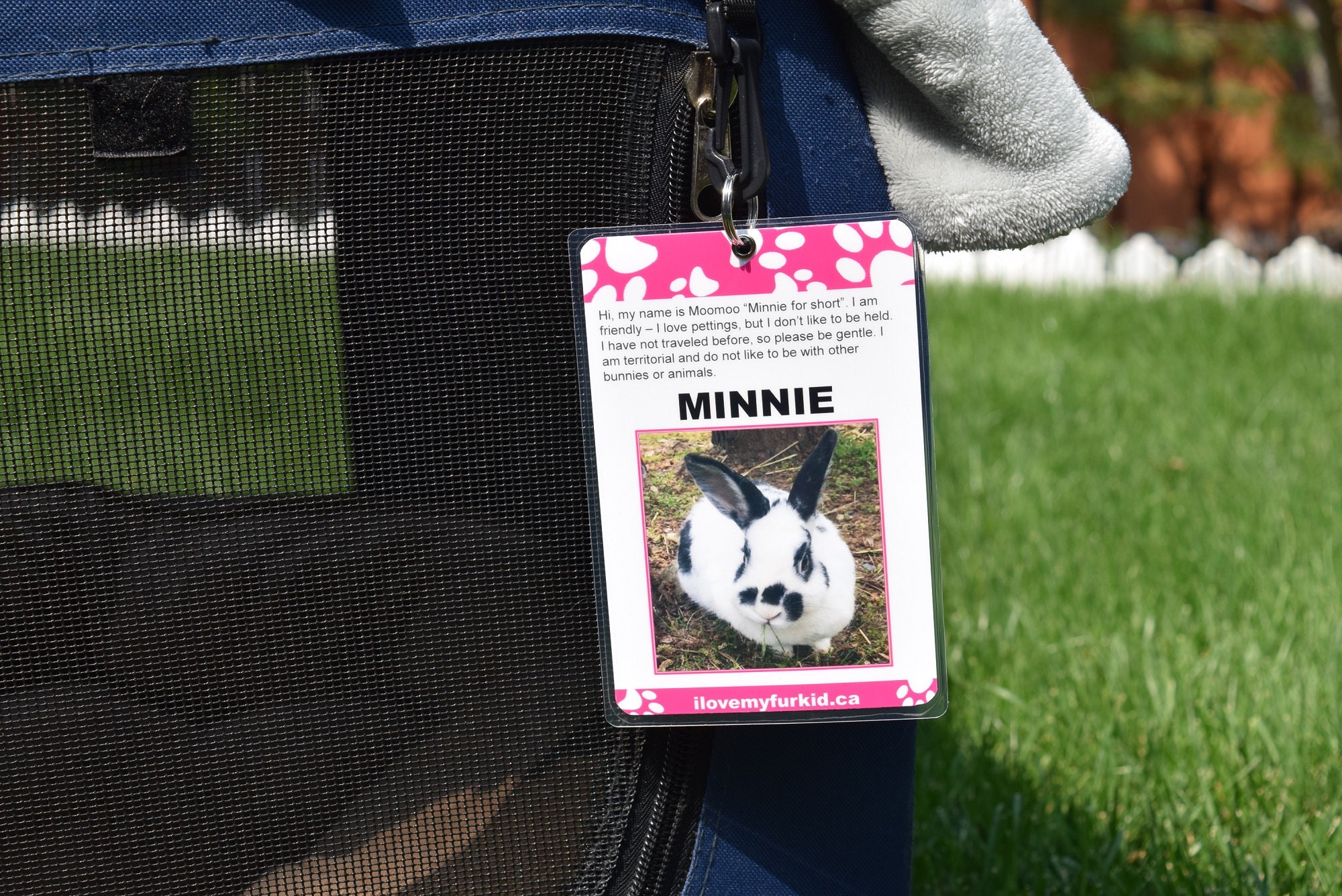 Cat Carrier/dog Carrier/kennel Travel Tag/kennel Tag/crate | Etsy