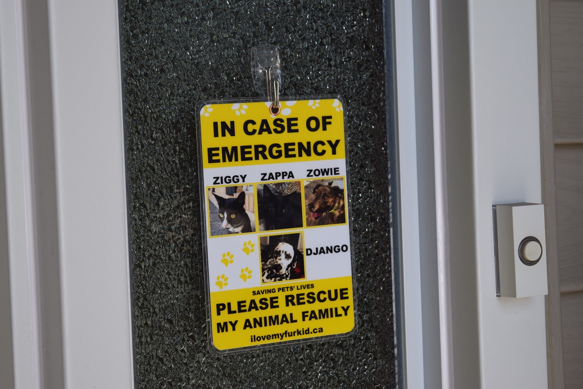 Rescue Our Animal Family/personalised Sign/emergency Pet - Etsy Canada