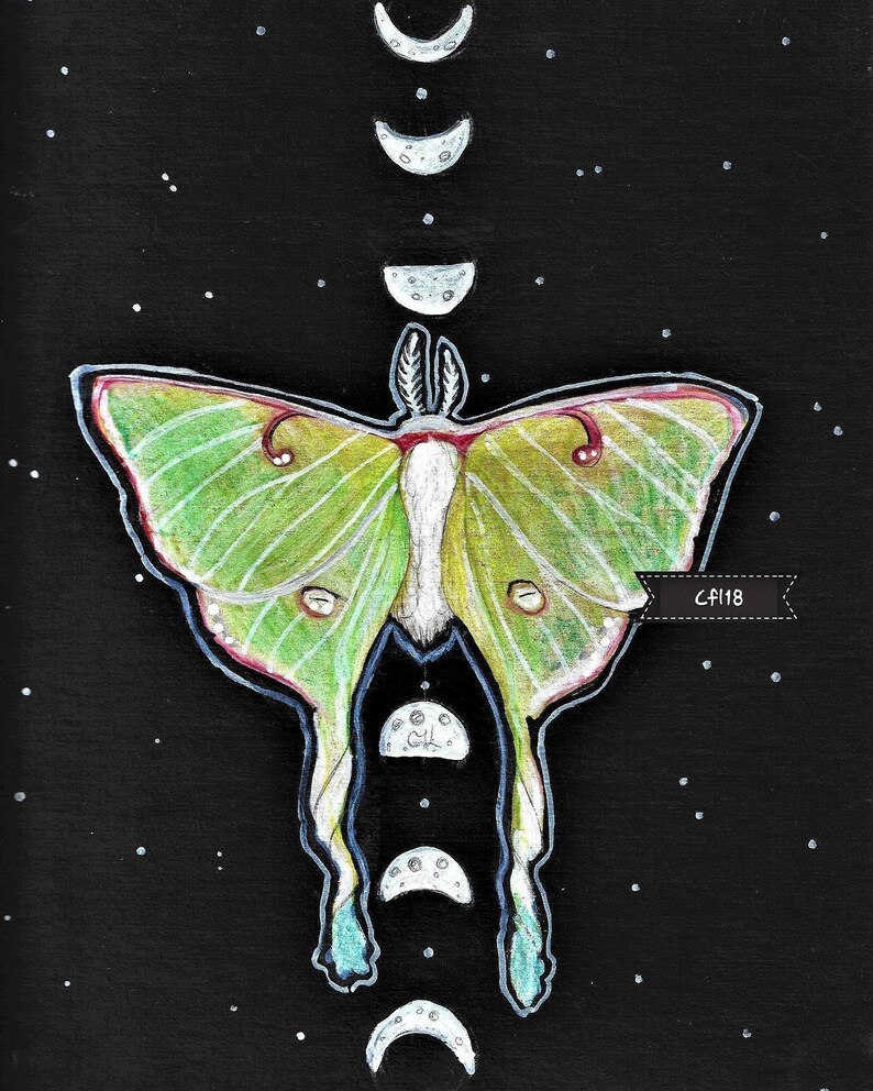 Moth Moon Phase Art - Moth Wall Decor - Lunar Moth Print - Moon Phase ...
