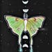 Moth Moon Phase Art - Moth Wall Decor - Lunar Moth Print - Moon Phase ...