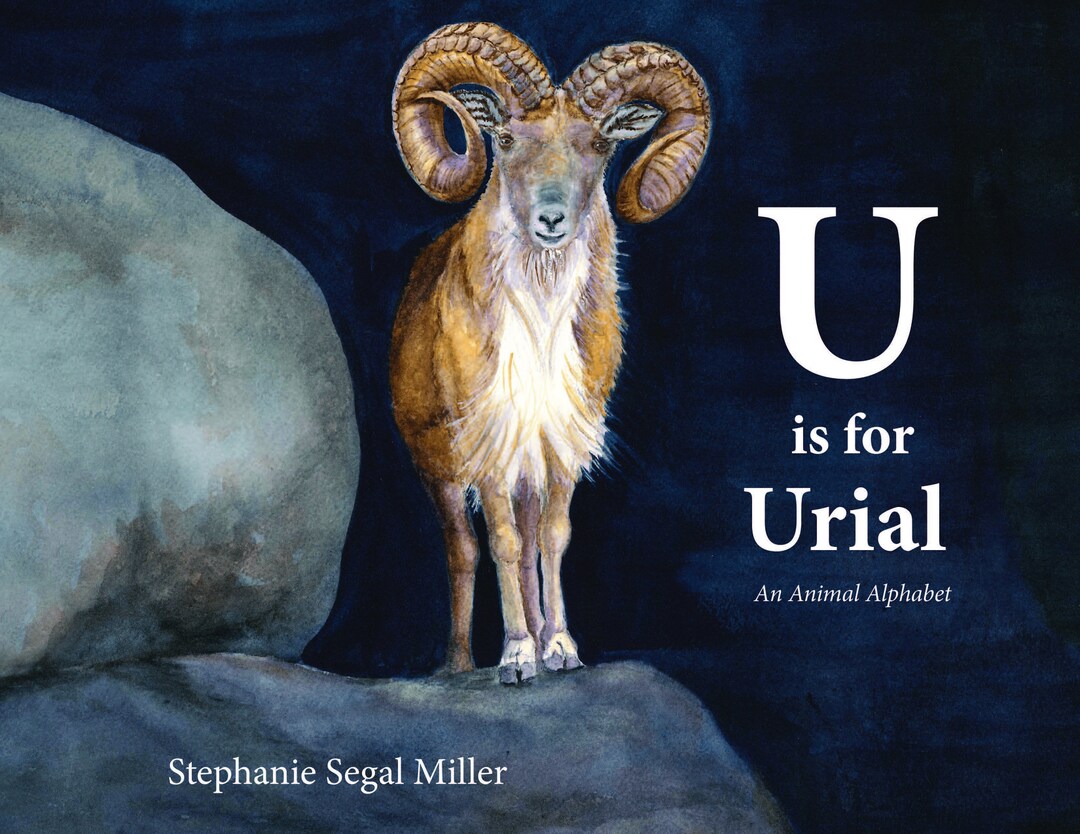 U is for Urial, an Animal Alphabet - Etsy