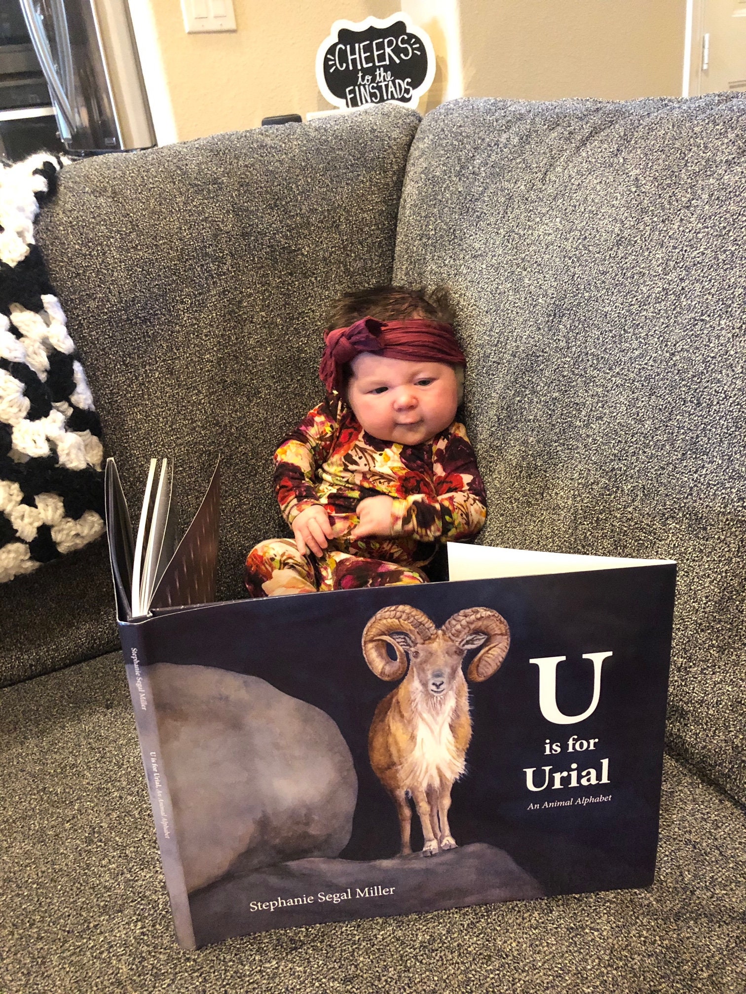 U is for Urial, an Animal Alphabet - Etsy
