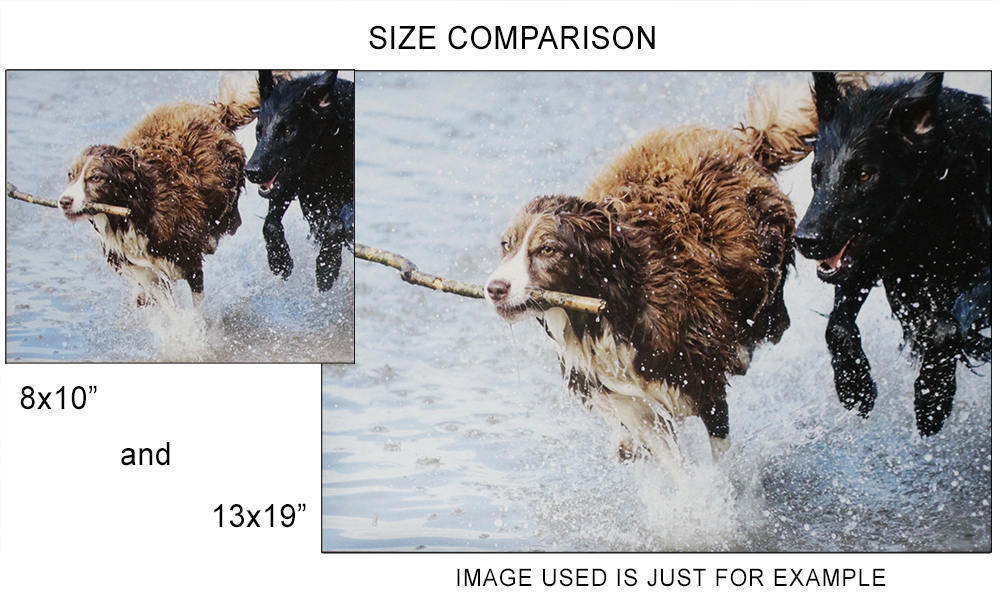 Eagle Nebula M16 Star Cluster Space Photo Print Space | Etsy