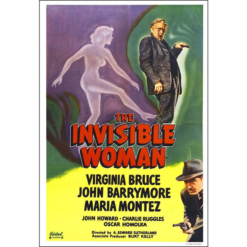 Invisible Women Poster - Etsy
