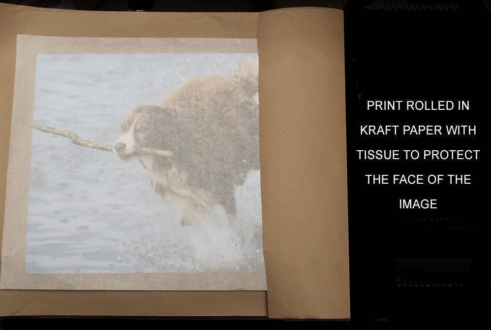 Eagle Nebula M16 Star Cluster Space Photo Print Space | Etsy