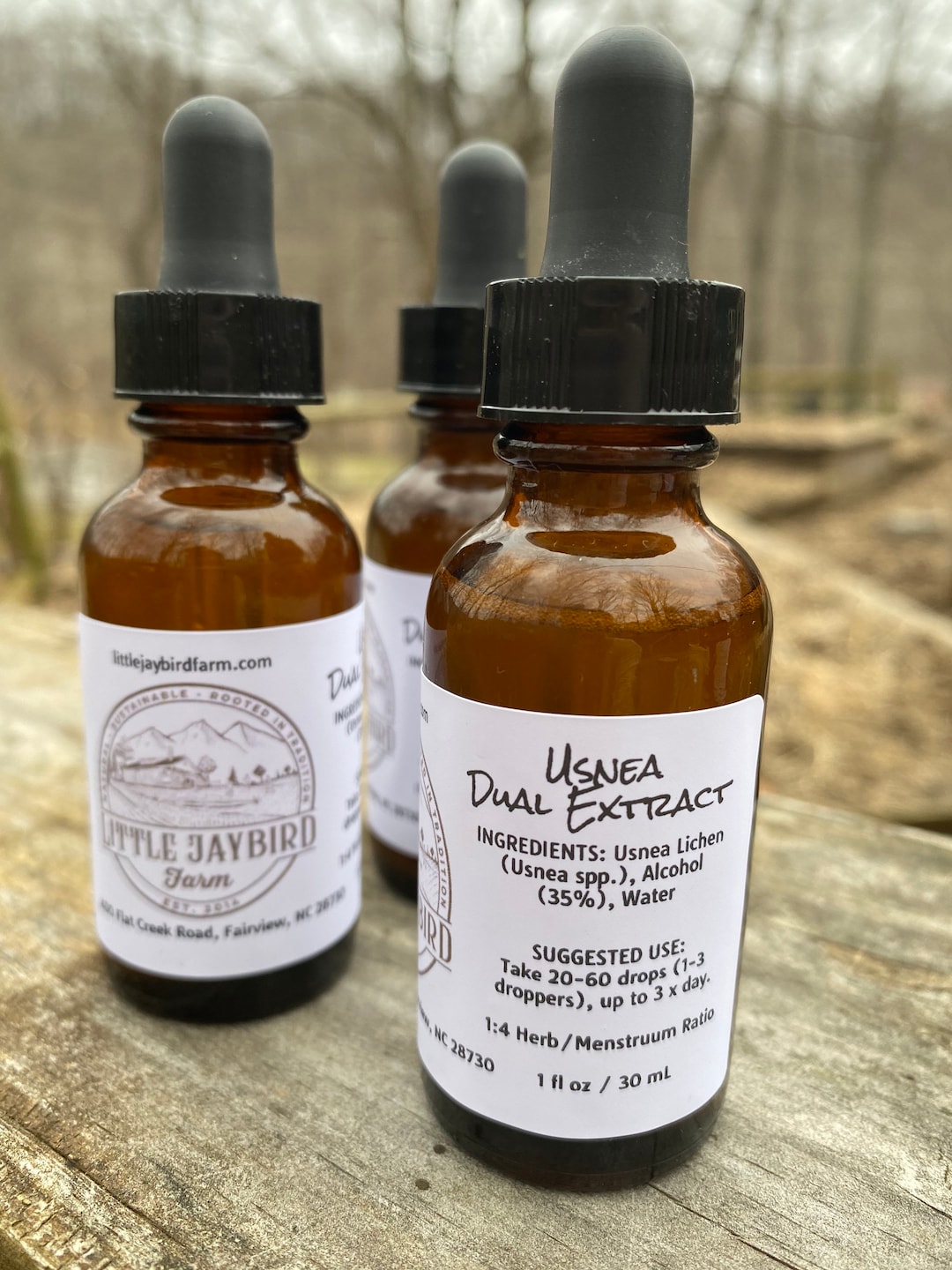 Usnea Lichen Dual Extracted Tincture | Old Man’s Beard | Usnea Extract ...