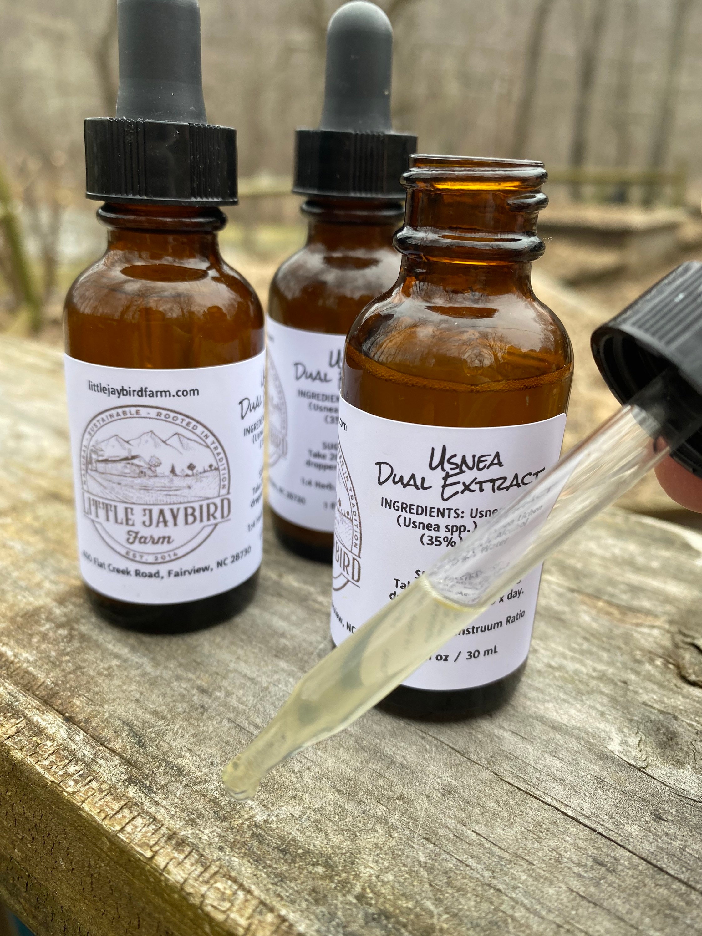 Usnea Lichen Dual Extracted Tincture Old Mans Beard Usnea - Etsy