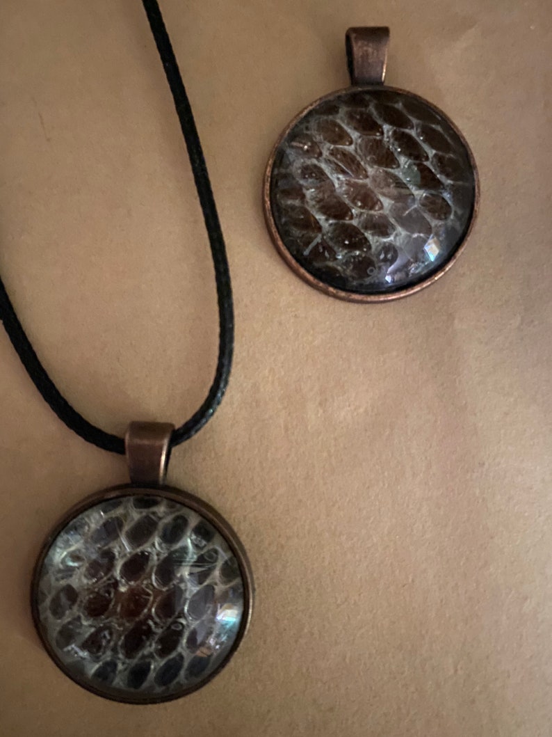 Snake Shed Skin Necklace With YOUR Snakes Shed Custom Gift - Etsy