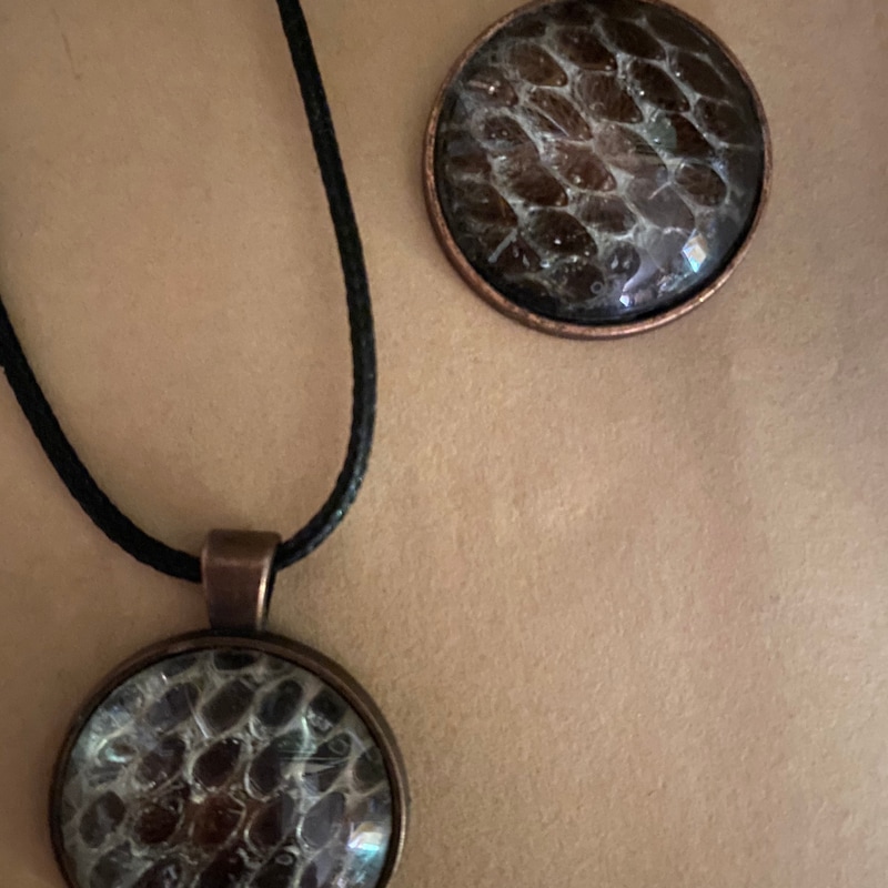 Real Snake Skin - Etsy