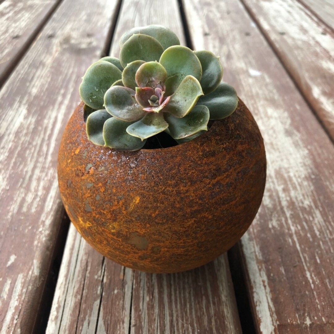 Rustic Iron Succulent Pot: 4" Rusty Metal Ball, Garden Decor - Etsy