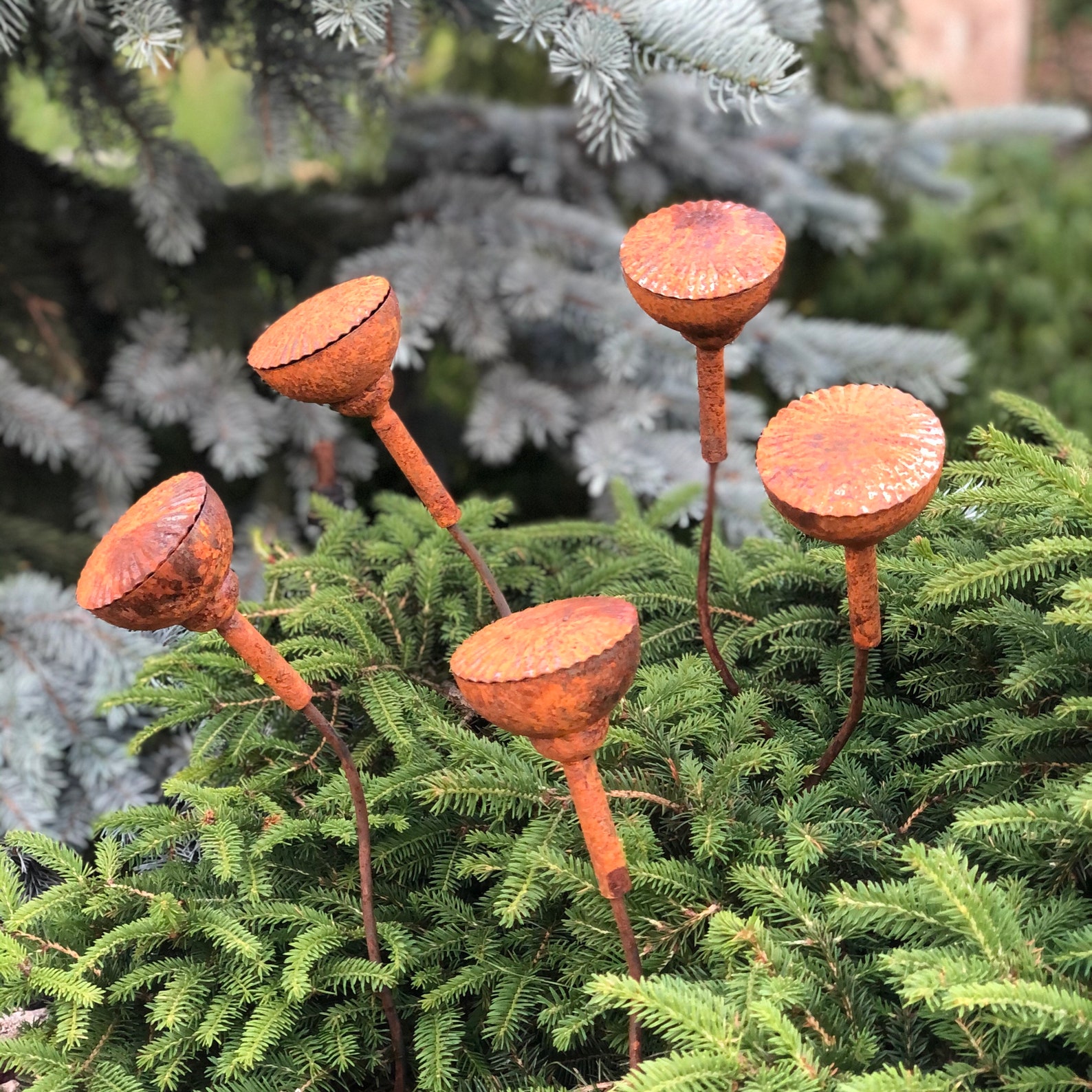 Rusty Flowers Set of 5, Poppy Seeds Head Garden Decor, Metal Garden ...