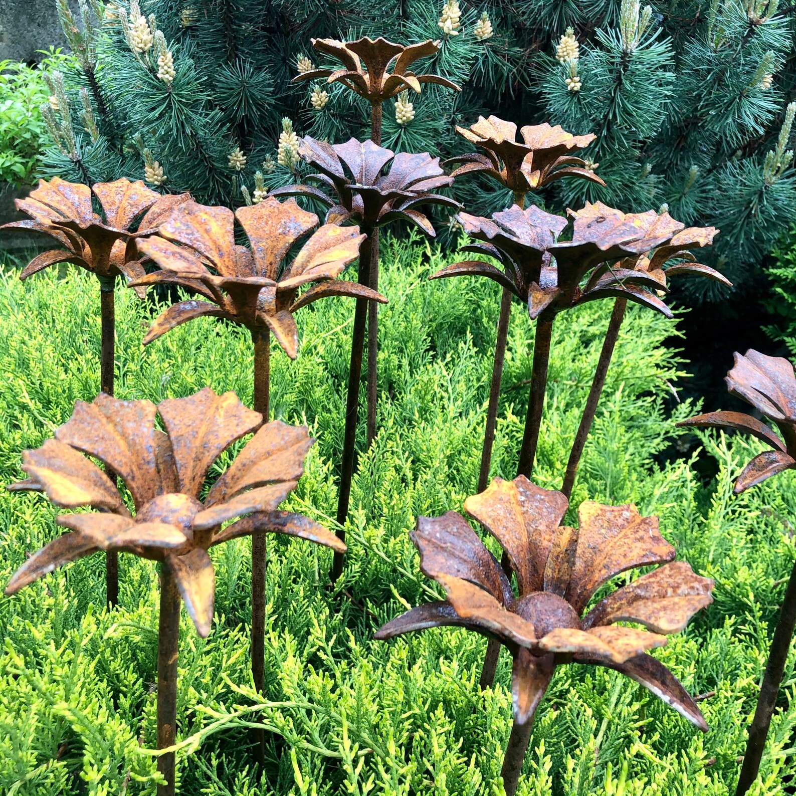 Rusty Flowers Set of 10, 10 Rusty Flowers Garden Stakes, Metal Garden ...