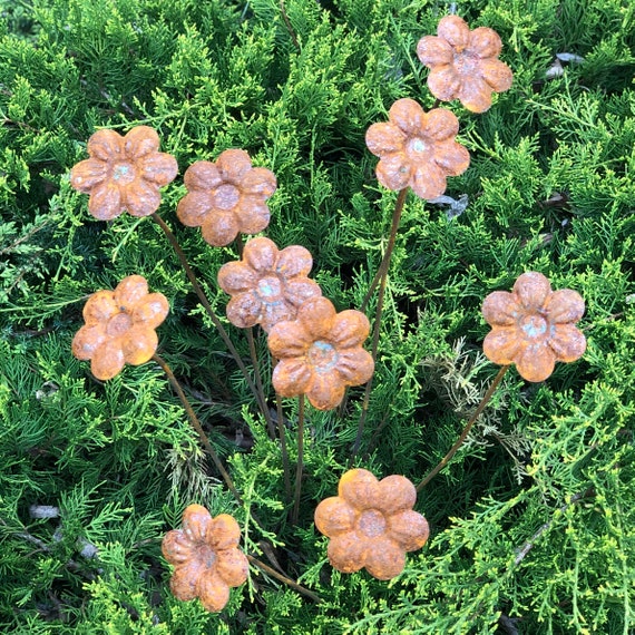 Rusty Flowers Set of 10 Flowers Garden Decor Metal Rain | Etsy