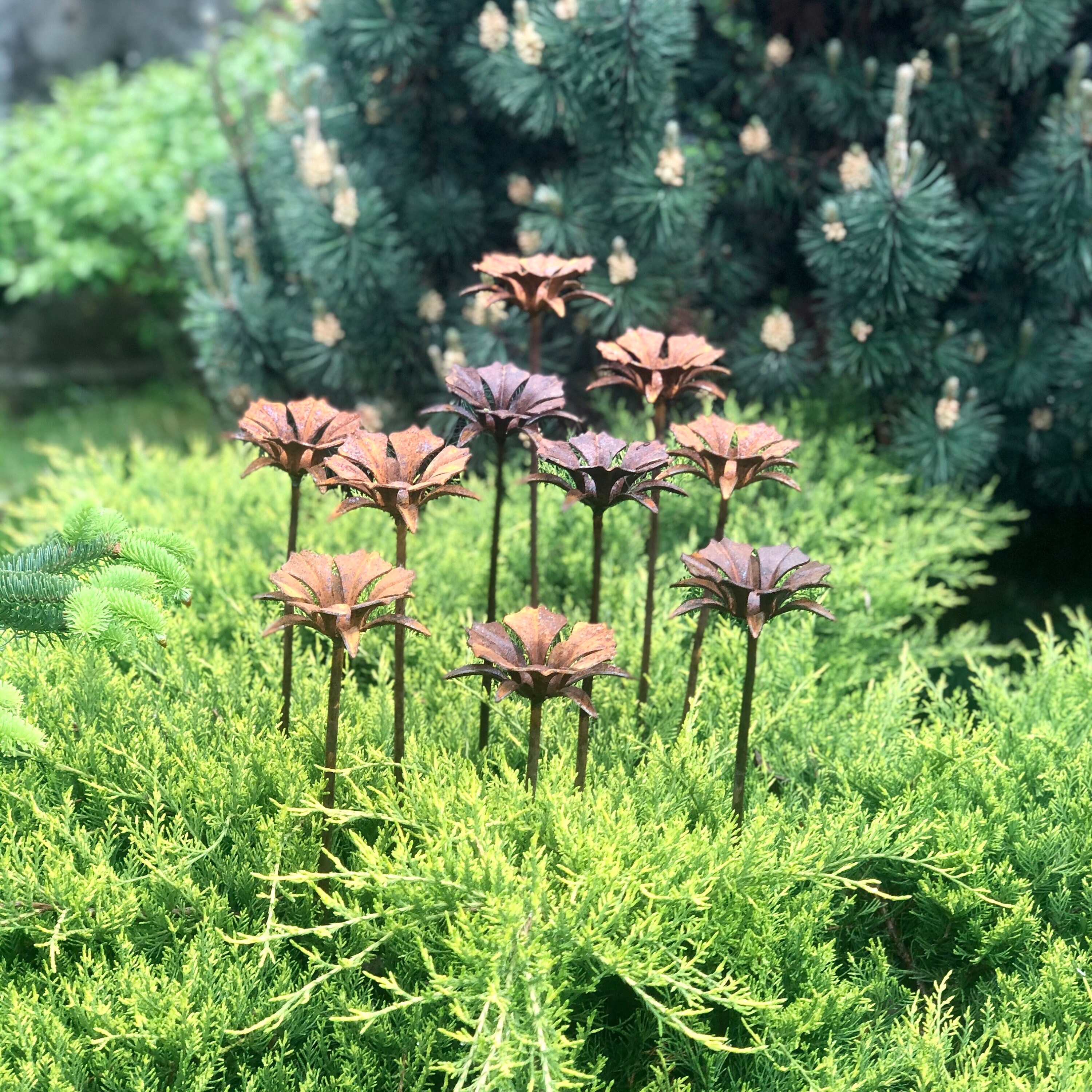 Rusty Flowers Set of 10 10 Rusty Flowers Garden Stakes Metal - Etsy