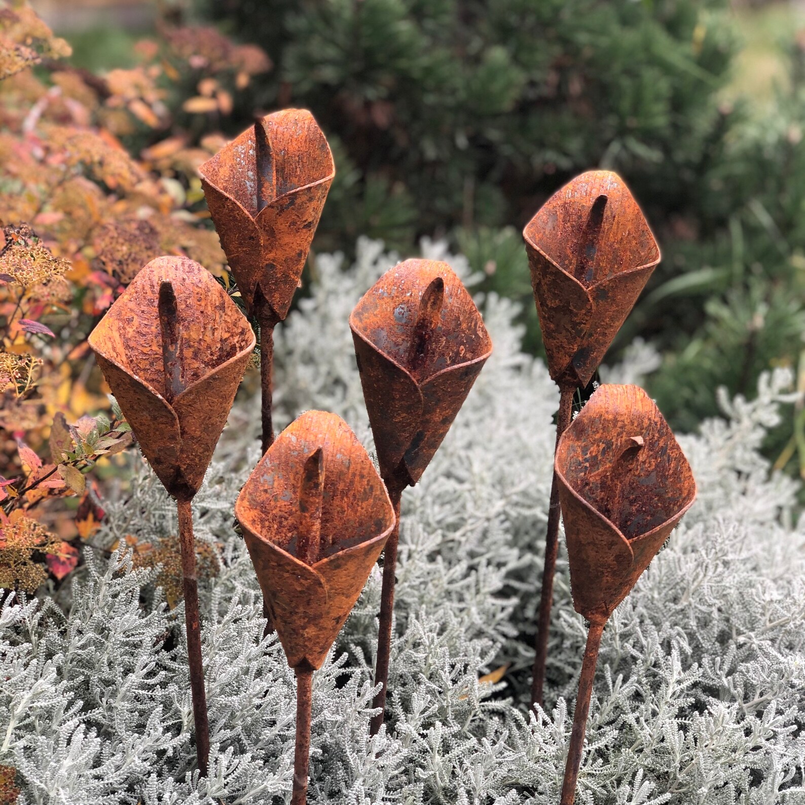 Rusty Flowers Set of 6 6 Rusty Flowers Garden Stakes Metal - Etsy Canada