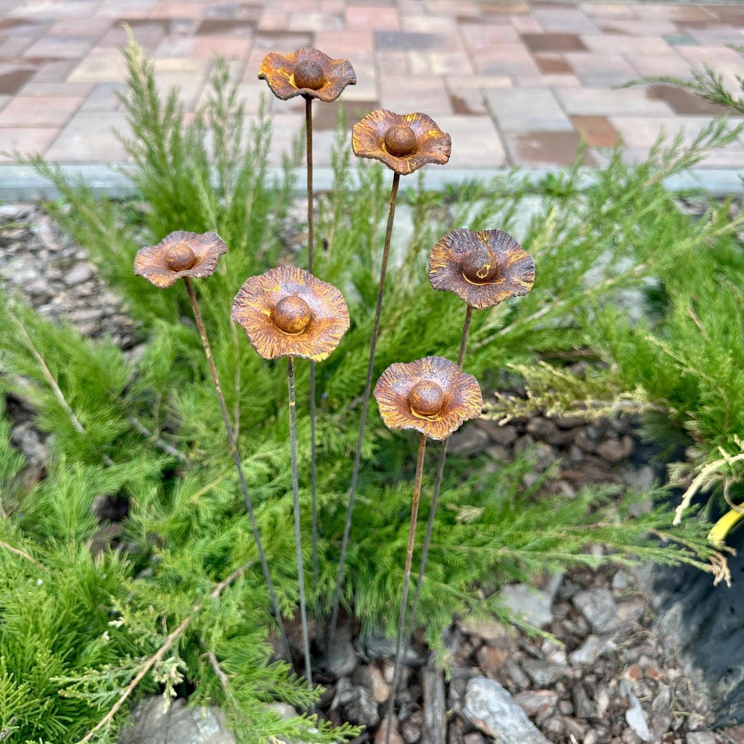 Rusty Flowers Set of 6, Poppy Flowers Garden Stakes, Metal Garden Decor ...