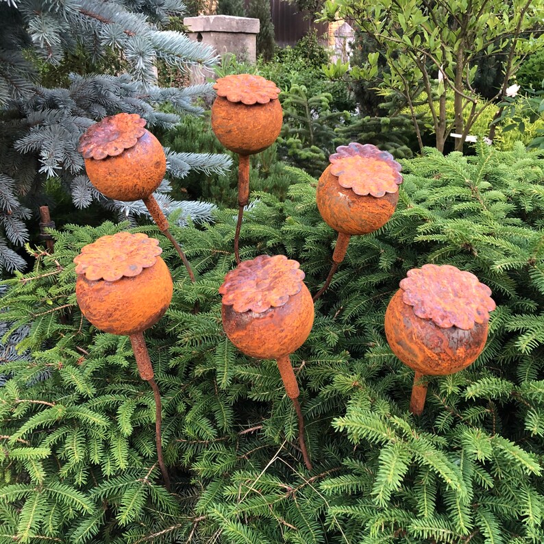 Rusty Flowers Set of 6 Poppy Seeds Head Garden Decor Metal - Etsy