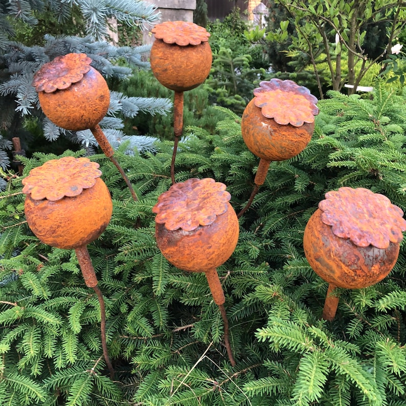 Rusty Flowers Set of 6 Poppy Seeds Head Garden Decor Metal - Etsy