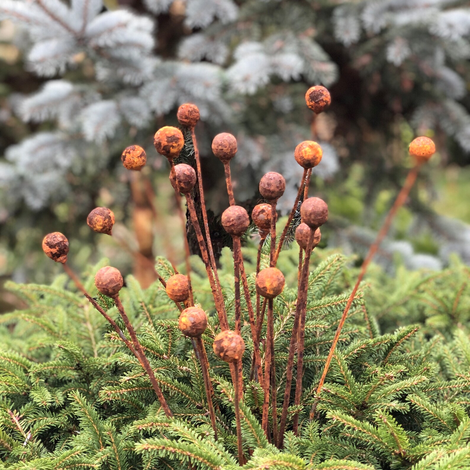 Rusty Flowers Set of 20 Metal Flower Garden Decor Metal - Etsy