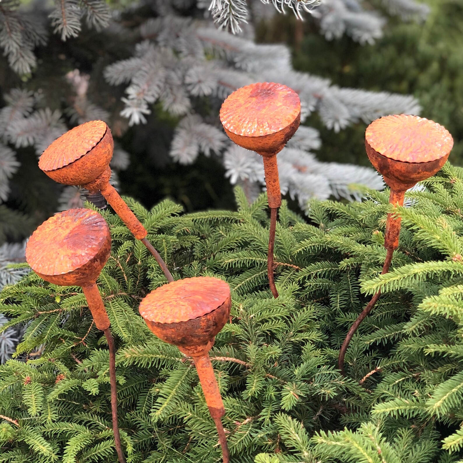 Rusty Flowers Set of 5, Poppy Seeds Head Garden Decor, Metal Garden ...