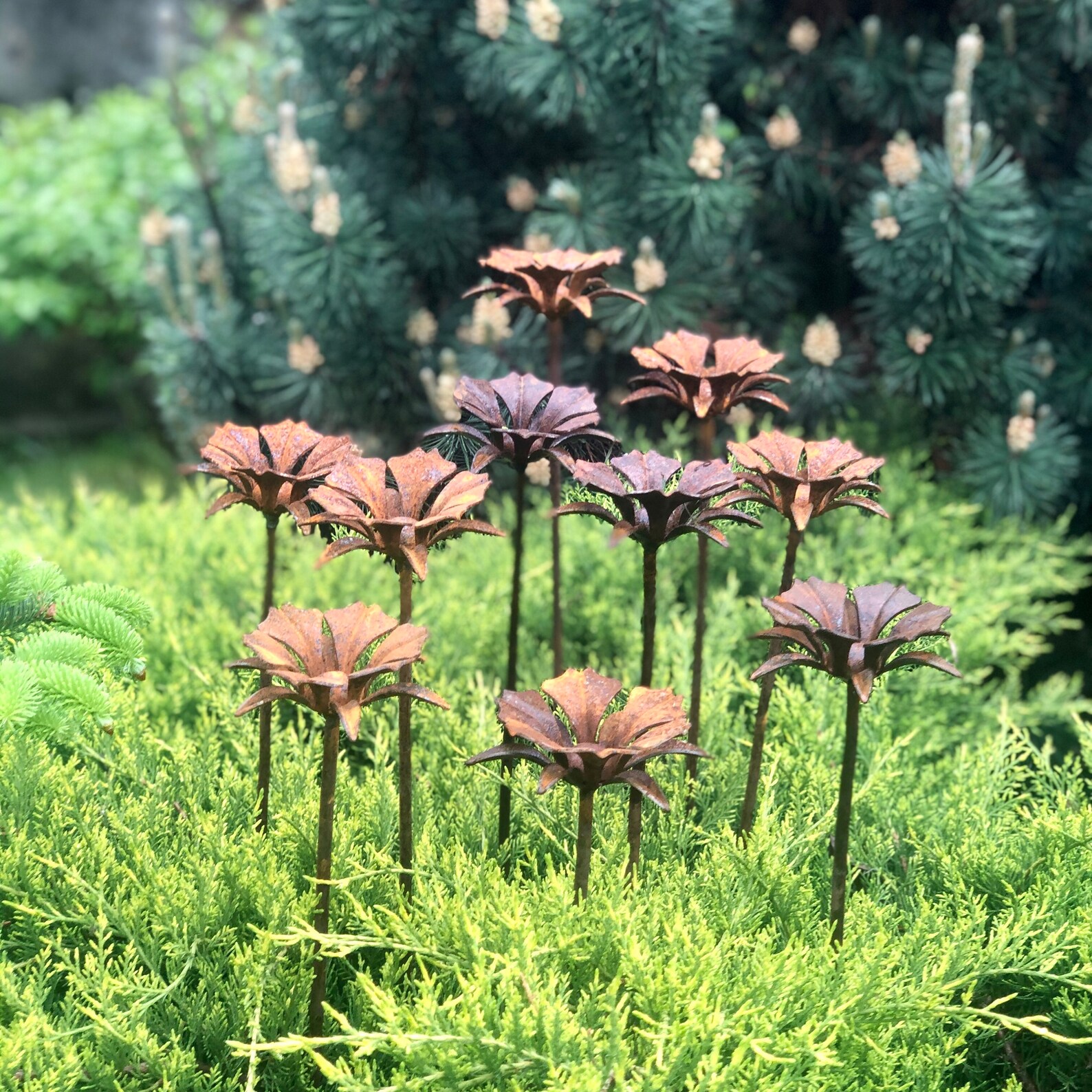 Rusty Flowers Set of 10, 10 Rusty Flowers Garden Stakes, Metal Garden ...