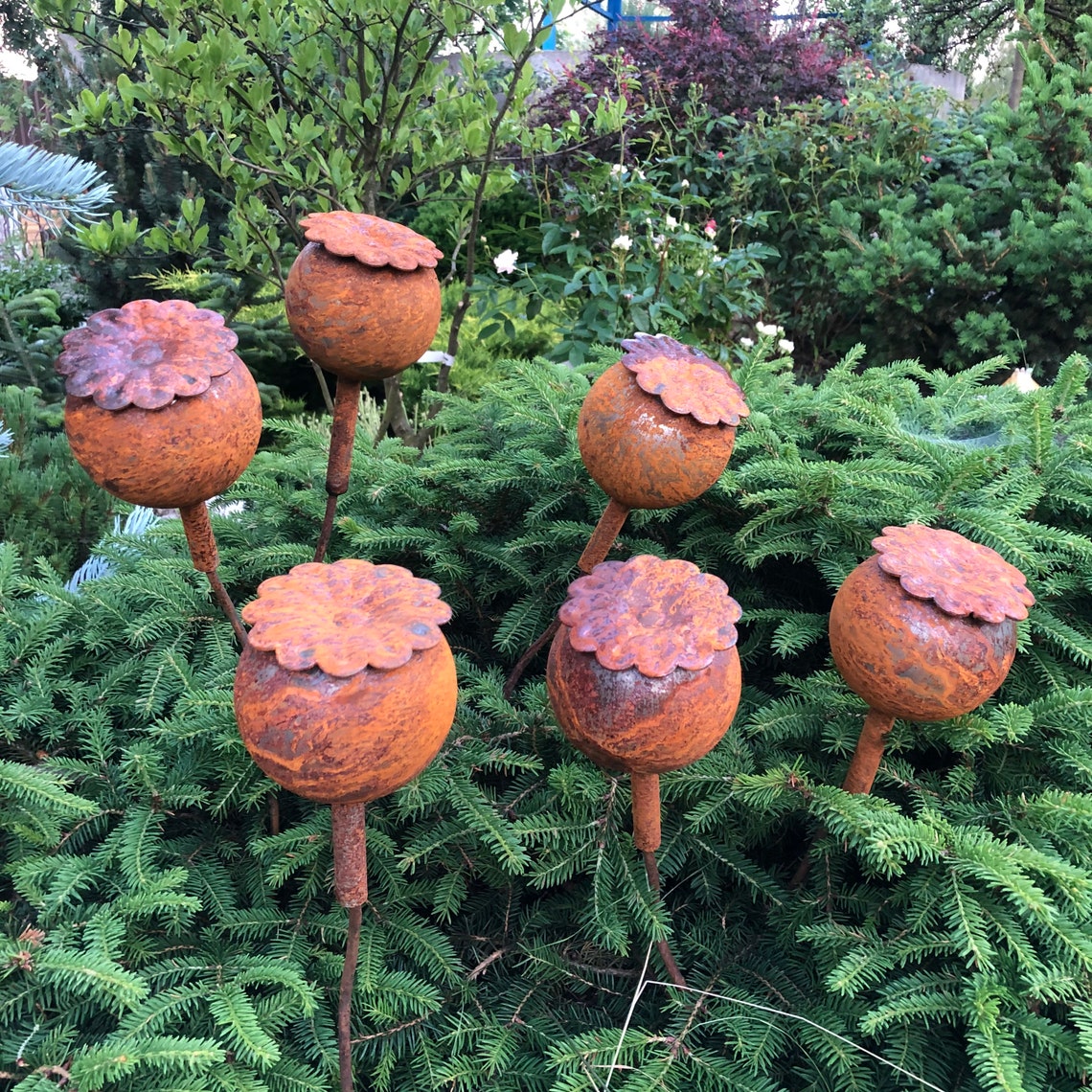 Rusty Flowers Set of 6 Poppy Seeds Head Garden Decor Metal - Etsy