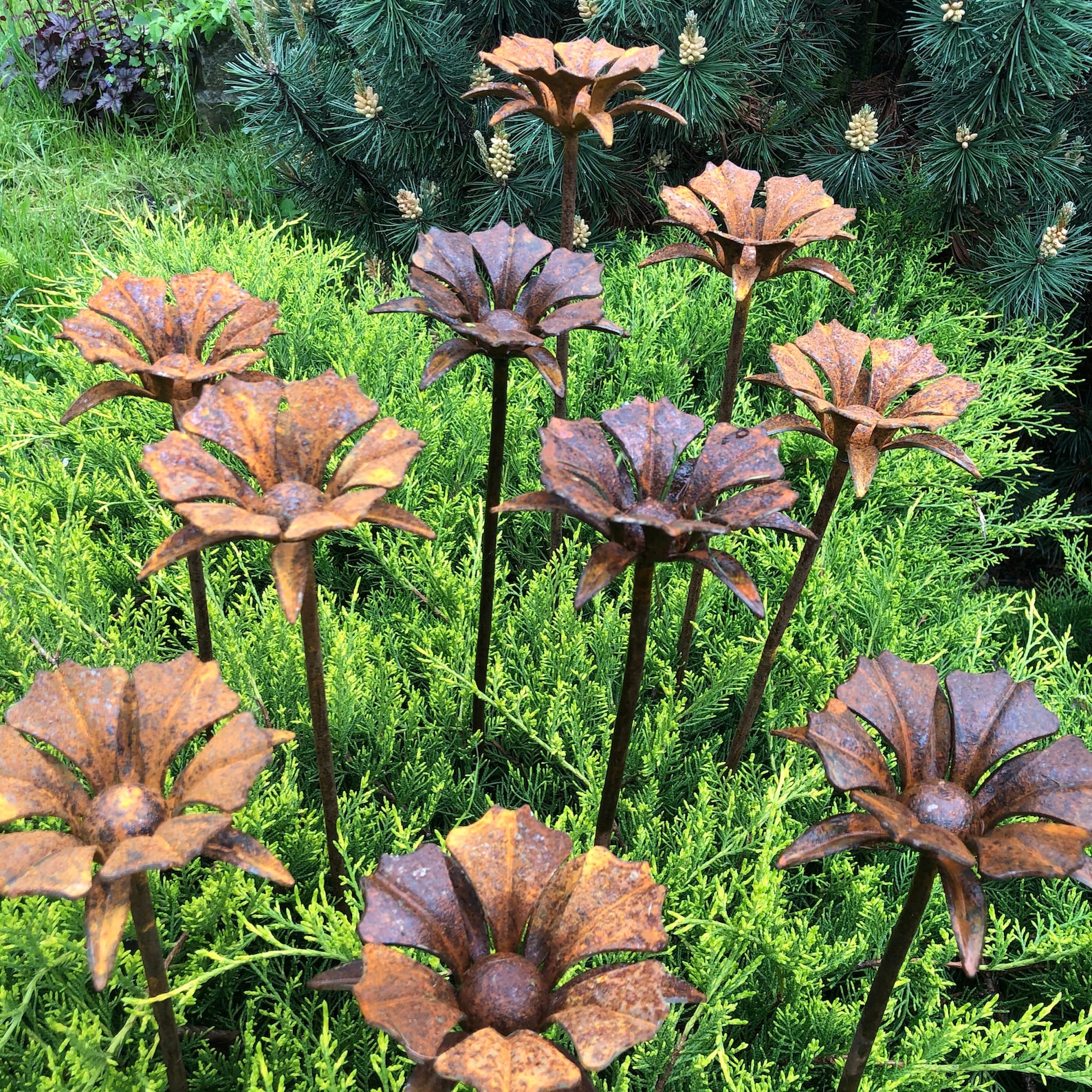 Rusty Flowers Set of 10, 10 Rusty Flowers Garden Stakes, Metal Garden ...