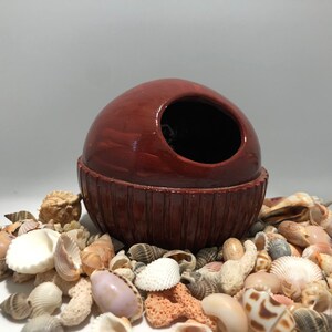 Fish Hideout, Aquarium Handmade Decor, Aquarium Decor, Aquarium Art ...