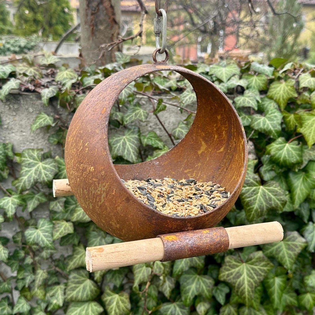 Rusty Bird Feeder, Modern Rusty Metal Bird Feeders, Bird Snack Bowl ...