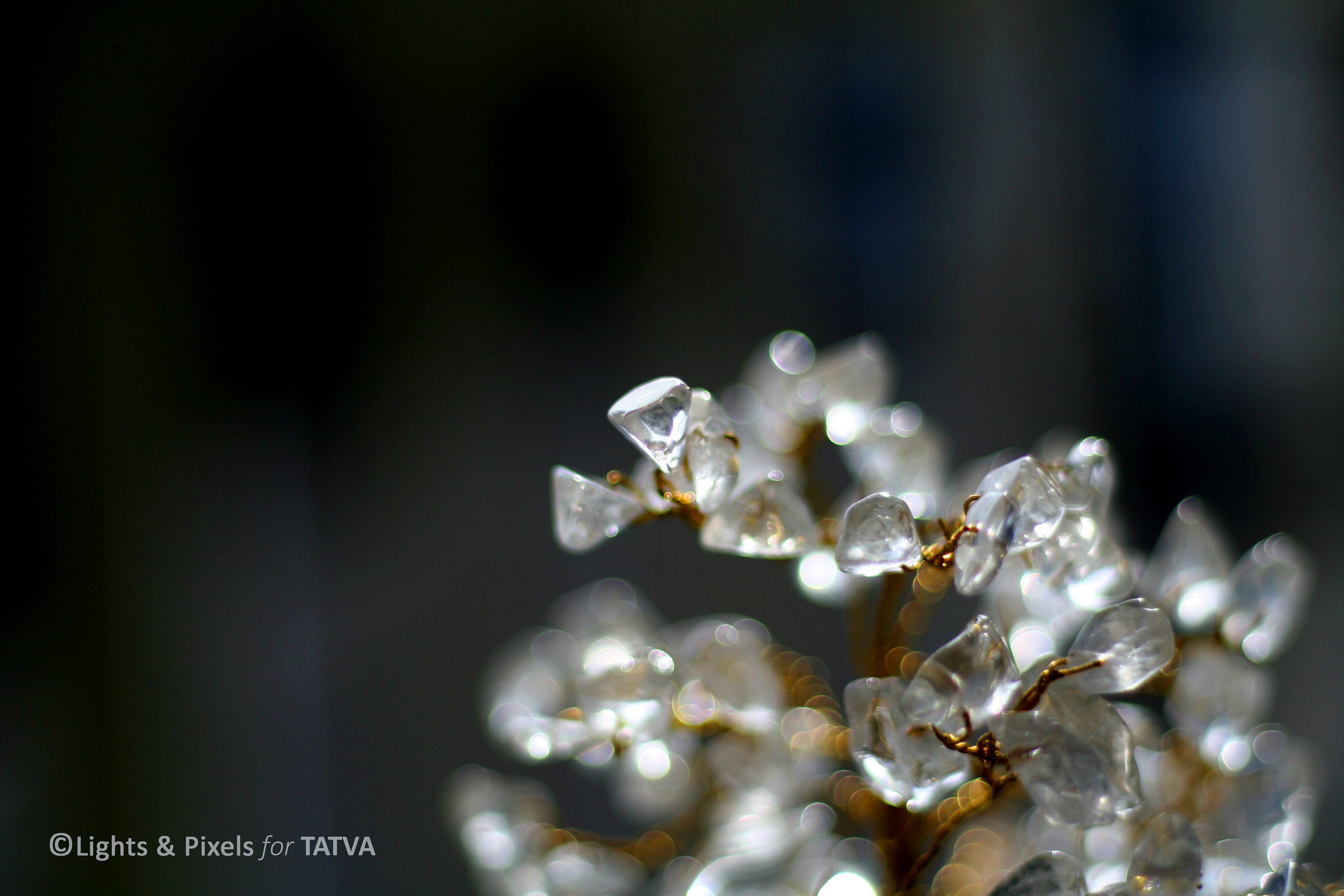 Clear Quartz Tree of Life 3 Sizes Energy Amplification - Etsy