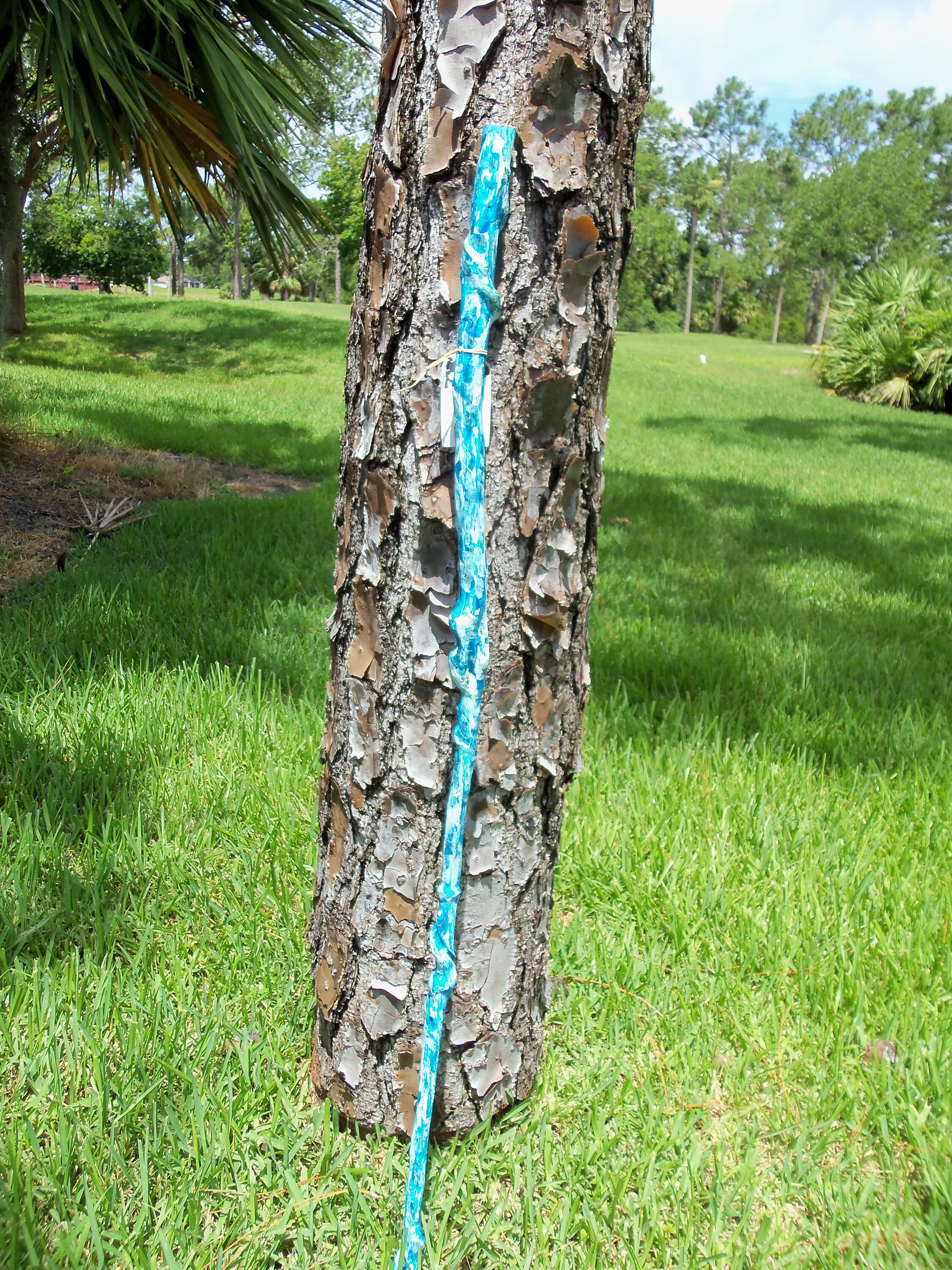 Tricolor Walking Stick - Etsy
