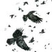 Crow Party Children's Book by London J. Maddison, Illustrated by Nick ...
